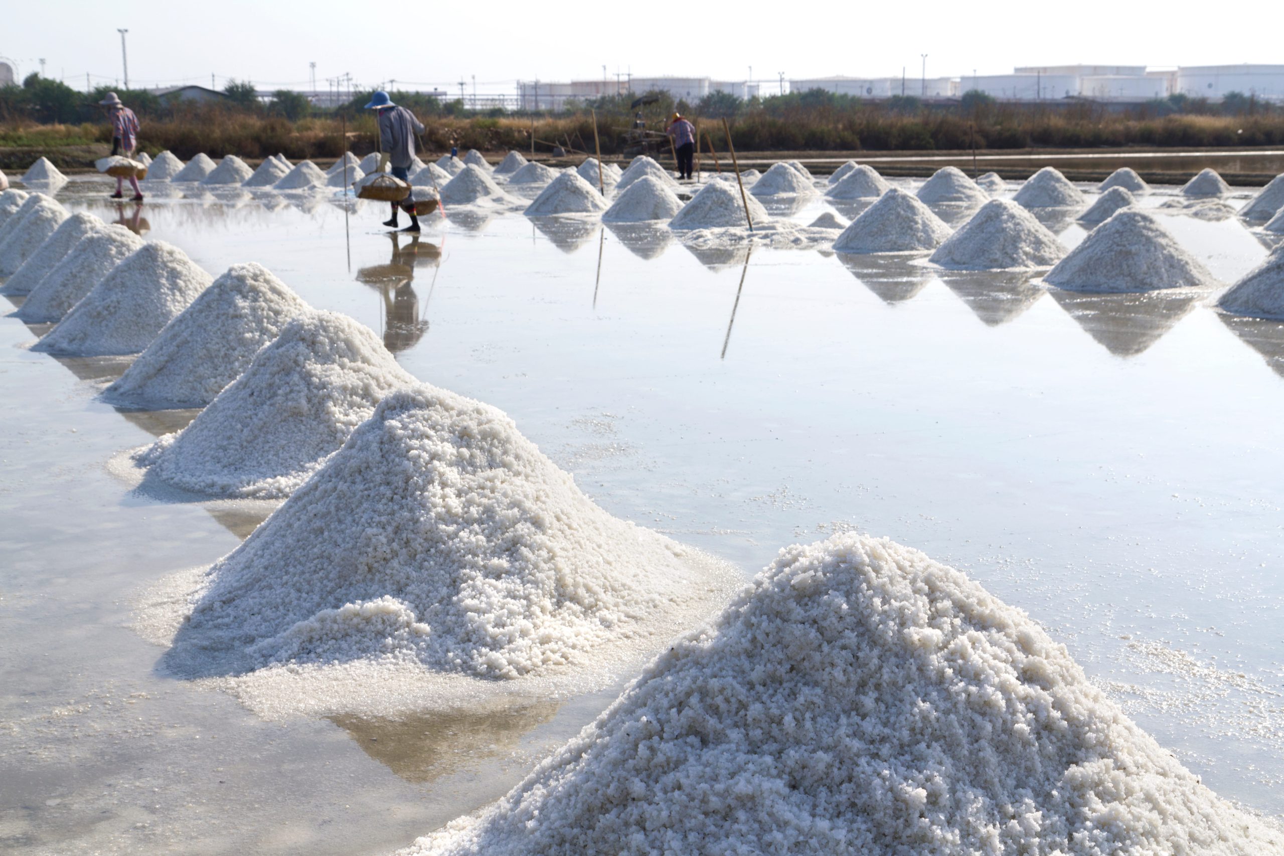Apa Garam Punya Masa Kadaluwarsa? - Artha Garam Indonesia